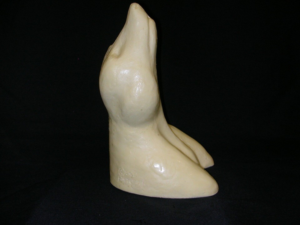 Taxidermy Form Raccoon Shoulder 2 1/8 X 6 1/8 X 10 Rt Closed Mouth ...