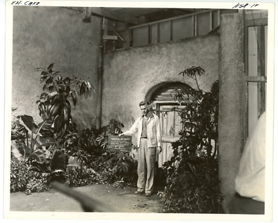 Buster Crabbe Daughter Prime Video: Nabonga Buster Crabbe, Julie
