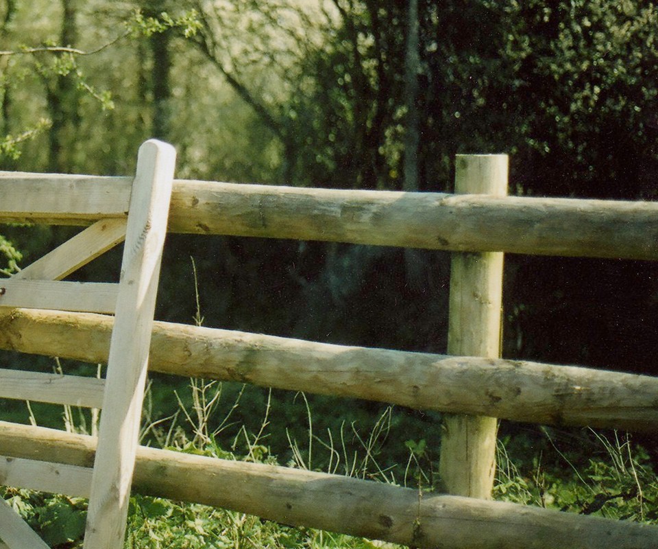 Half Round Fence Rail 3.6m 100mm 4" Green Treated Garden Mesh Fencing ...