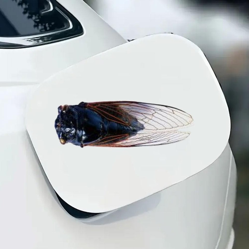 3D Insect Car Stickers Dragon Fly Decals Car | Vinyl NEW~ Decal For Car ...