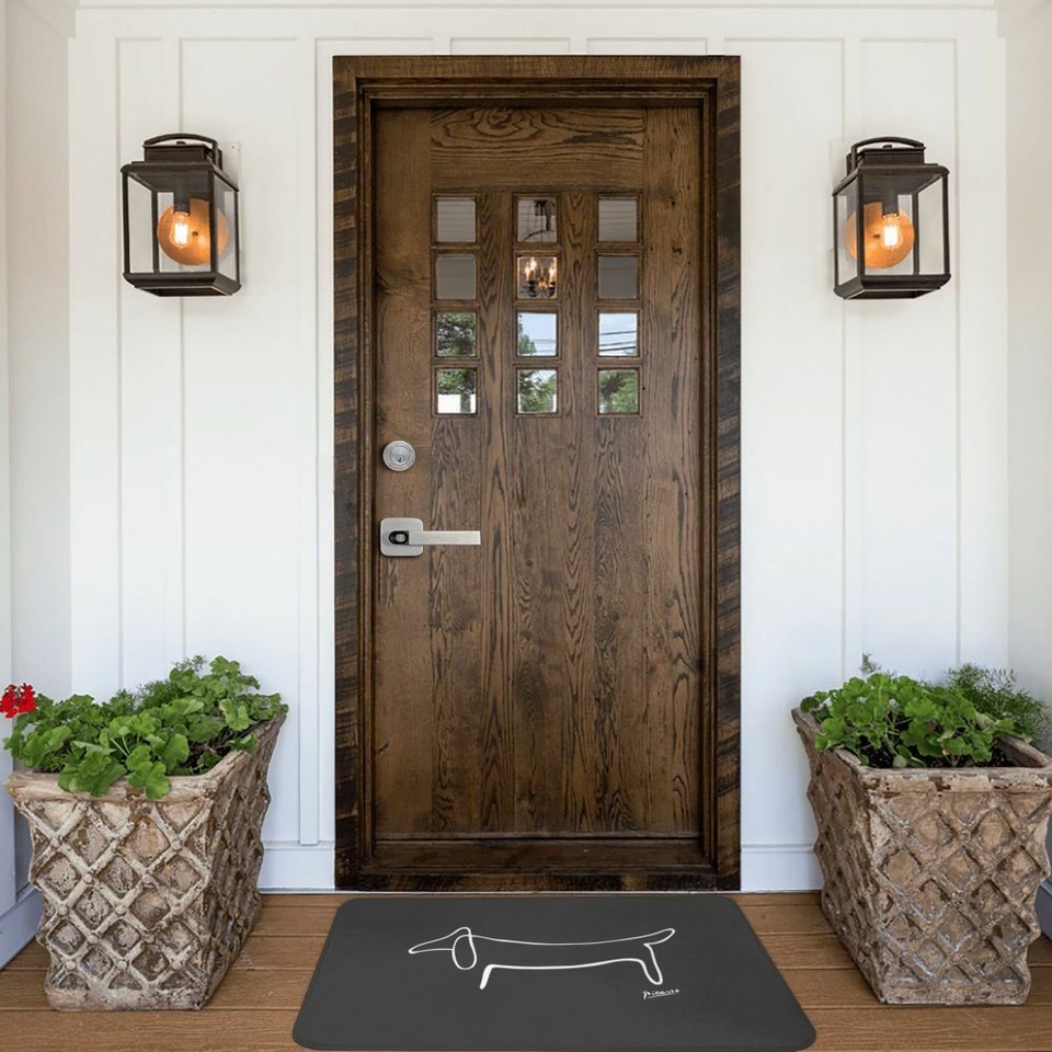 Pablo Picasso Wild Wiener Dog Dachshund Doormat Rug carpet Mat Footpad ...