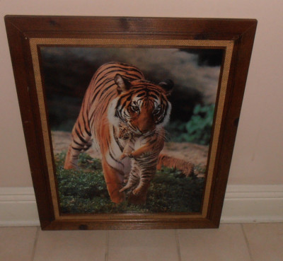 VINTAGE & GORGEOUS TIGER W/ CUB PHOTO TYPE PRINT BEAUTIFUL OLD WOOD ...