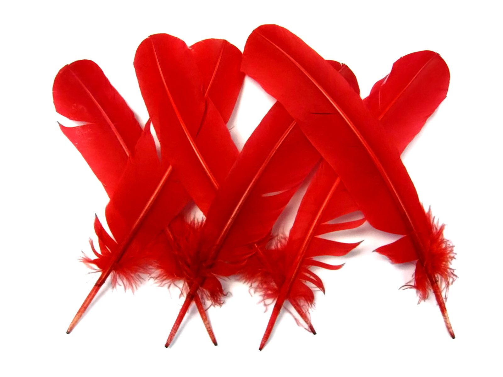 6 Pieces - Red Turkey Rounds Secondary Large Wing Quill Feathers Craft ...
