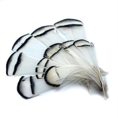 LADY AMHERST TIPPETS - Hareline Fly Tying Pheasant Feathers White - 10 ...