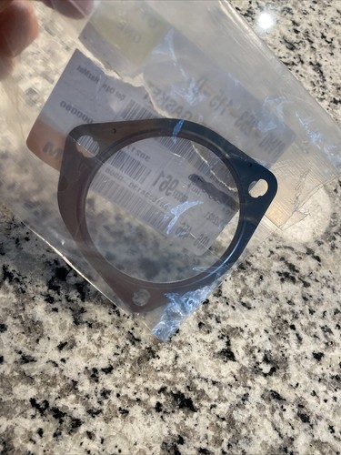 OEM Genuine Audi Gasket 8W0253115D | eBay