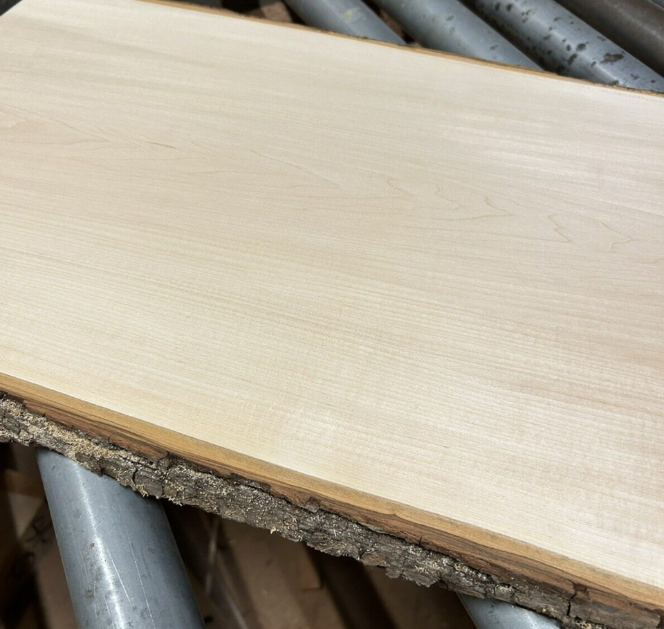 ONE KILN DRIED S2S NATURAL EDGE BASSWOOD SLAB WOOD LUMBER ~24" X 12"-14 ...