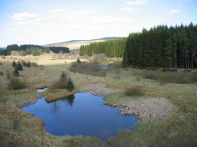 Photo 6x4 Kielder Burn Valley from Observation Hide Butteryhaugh c2009 ...