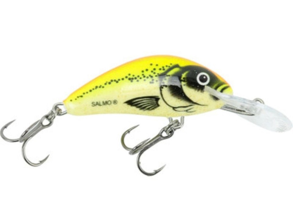 Salmo Hornet #4F Crankbait Lure (Select Colors) | eBay