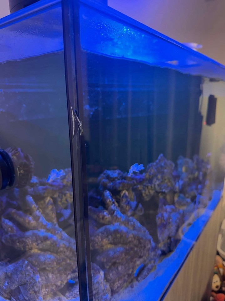 Boyu 200L Aquarium Fish Tank with Stand Empty | eBay UK