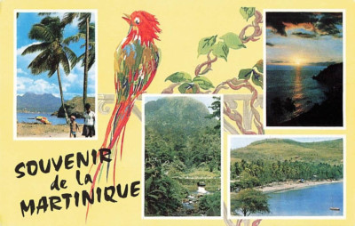 Postcard Souvenir de la Martinique Anse Mitan Beach Tropical Forest | eBay