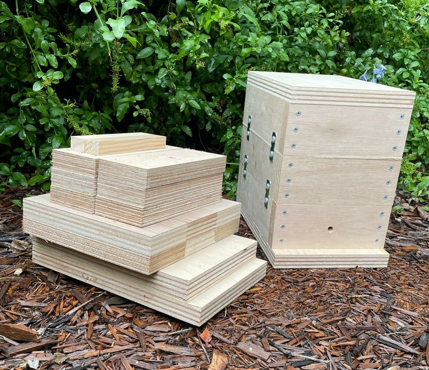 Stingless Australian Native Beehive Honey Super DIY Kit OATH Bee Hive ...