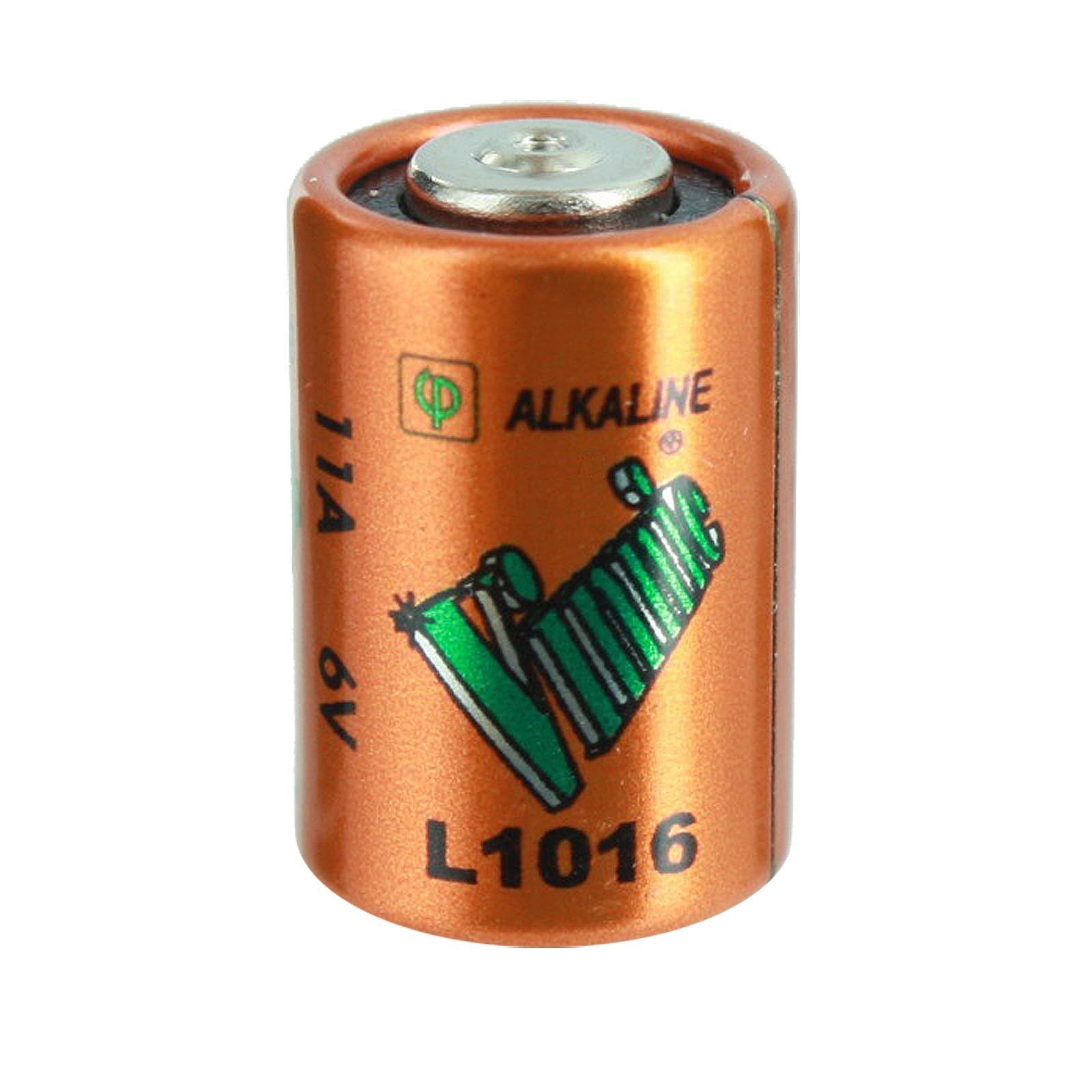 6V Alkaline Battery 11A GP11A L1016 A11 MN11 AG11 By Vinnic | eBay