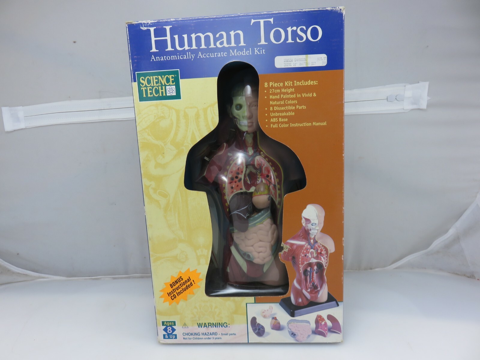 Science Tech Human Torso Anatomically Accurate Model Kit w/CD ...