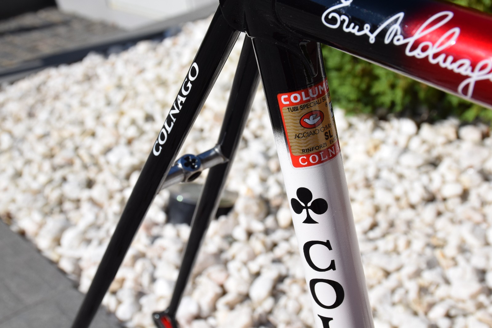 Columbus SL* frame +2 fork decals for campagnolo equip bike | eBay