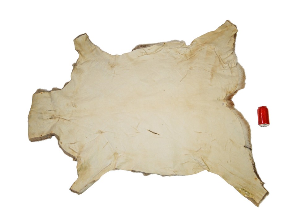 Red Deer Skin Large (684-L-G25) 10UF | eBay