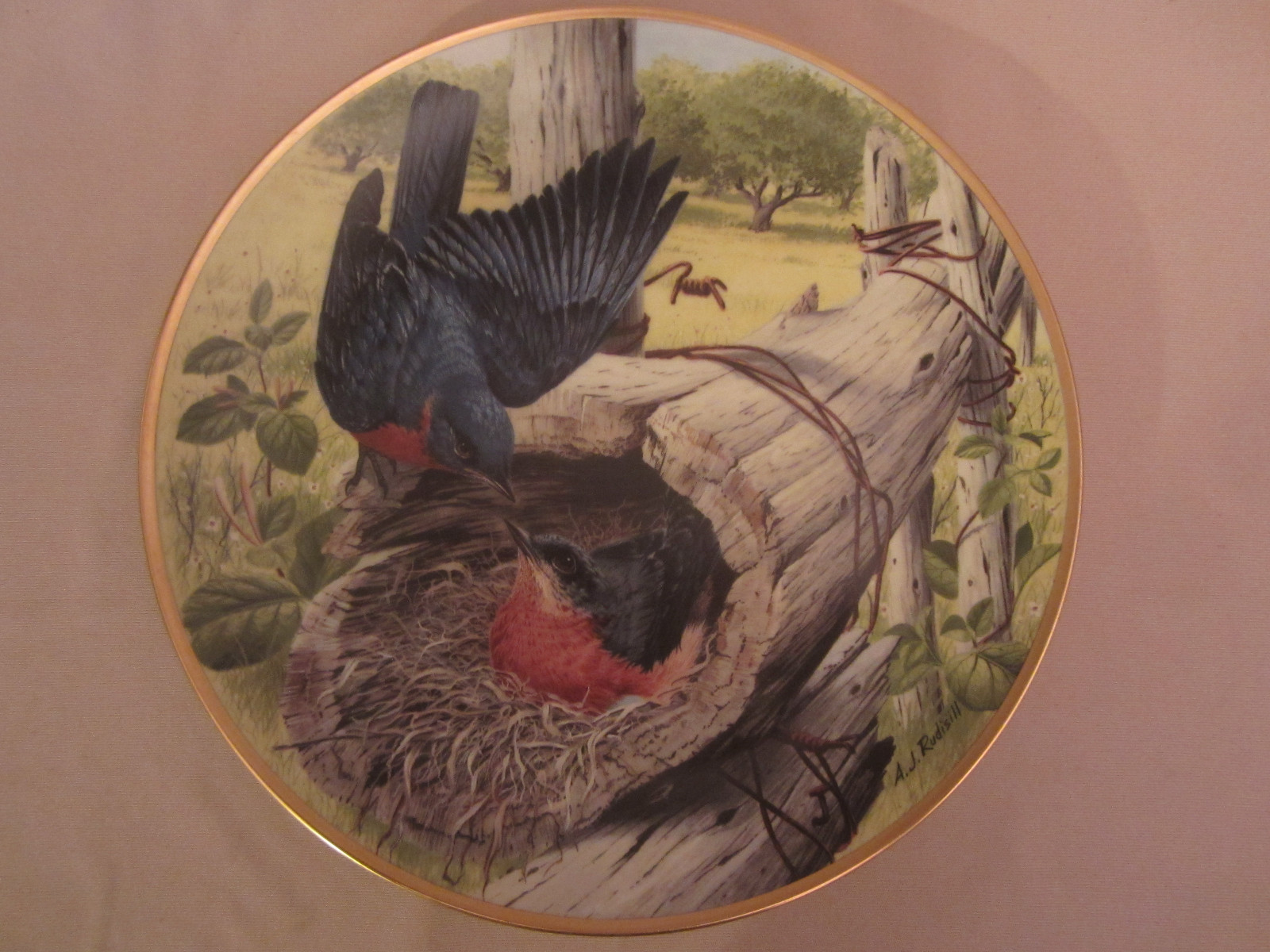 BLUEBIRD "NESTING ON EGGS" collector plate ANTHONY RUDISILL Birds of ...