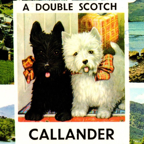 Vintage 1980 Scottish Terrier Gaelic Loch Lubnaig Callander Postcard UK ...