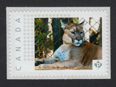 COUGAR = PUMA =MOUNTAIN LION=Picture Postage stamp MNH Canada 2015 [p15 ...