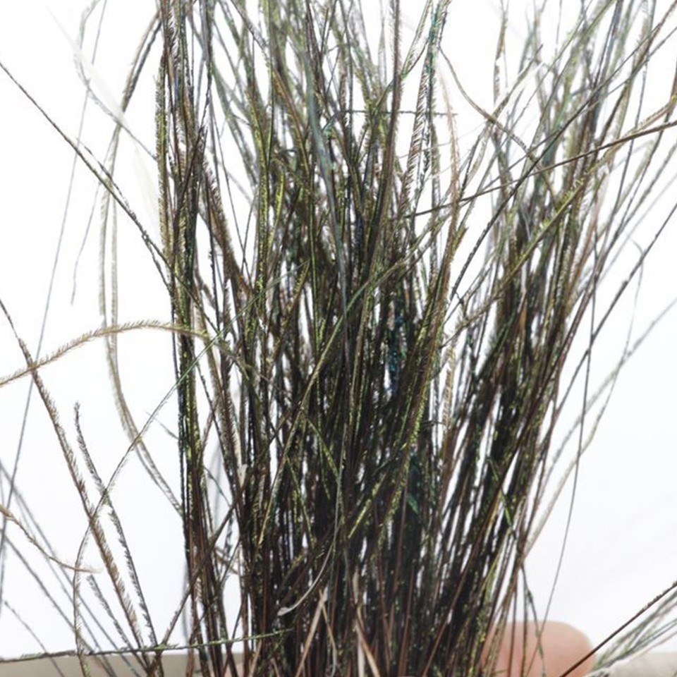 Fly Fishing Bait Tied Material 200Pcs Peacock Herl Tail Ribbon Vibrant ...