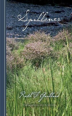 Spillover by John B. Stimson (English) Paperback Book | eBay