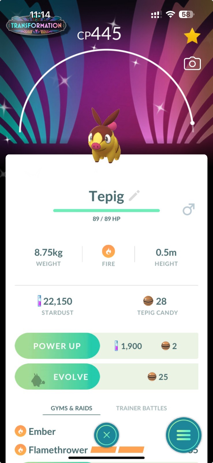 Shiny Tepig Z-A Celebration Event Season background -P T C- Read ...