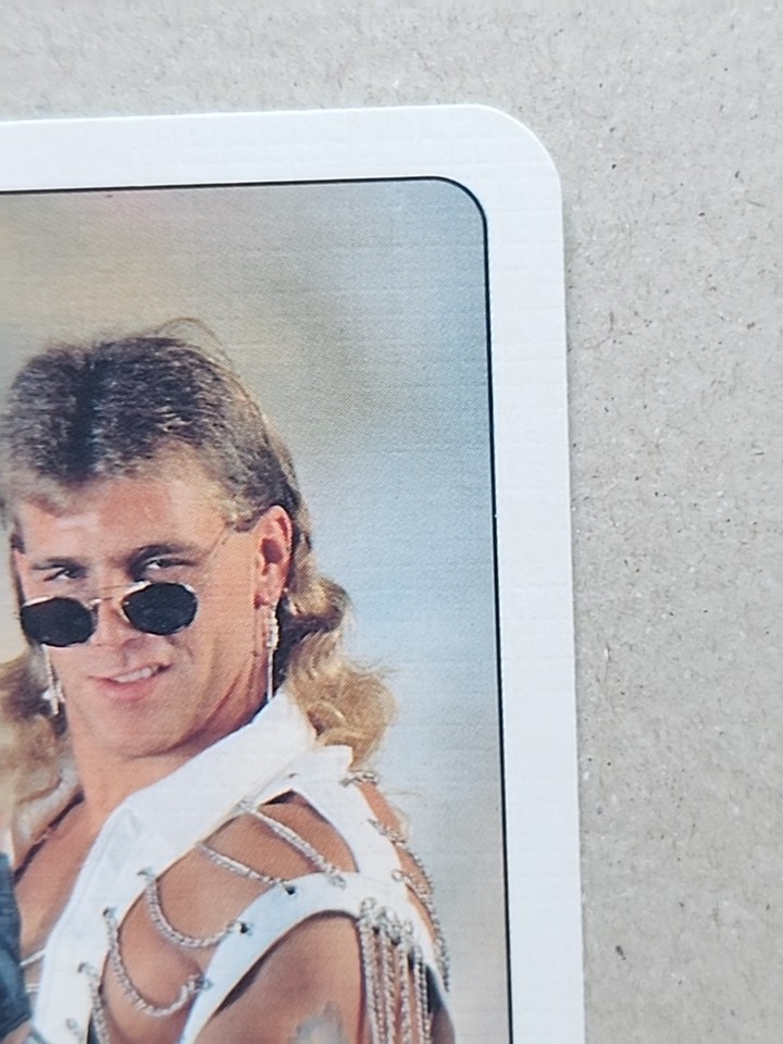 1993 Shawn Michaels WWF Card RARE WWE Heartbreak Kid HBK Vintage ...