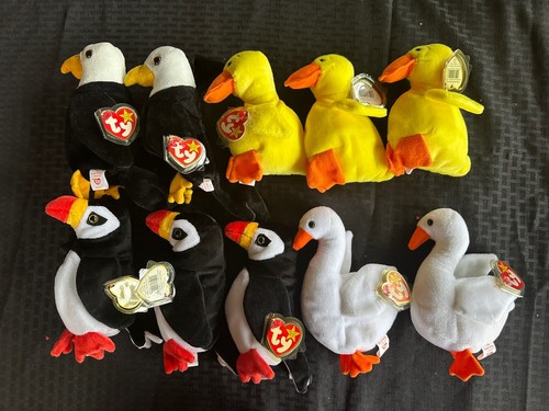 TY Beanie Babies Birds Lot of 10 w Tags Stored Never Played With #2 | eBay