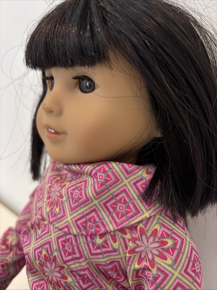 American Girl Doll 2008 Pa-11392 (HK) Brown Eyes Brown Hair 18" | eBay