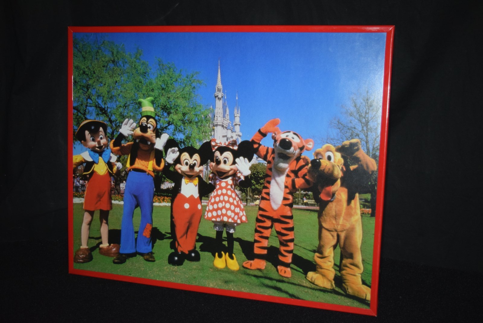 DISNEY PARKS CHARACTERS PHOTOGRAPH MICKEY MINNIE GOOFY TIGGER PLUTO ...