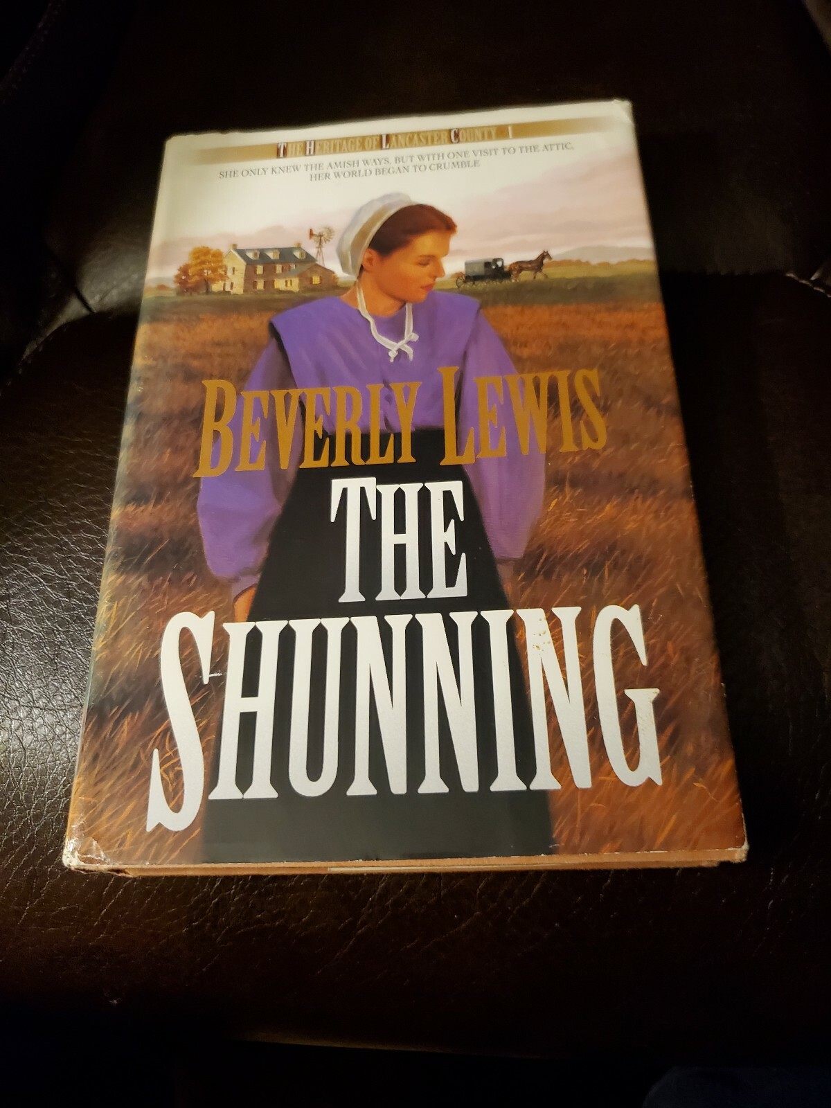 The Shunning: The Heritage of Lancaster County No. 1 by Beverly Lewis ...