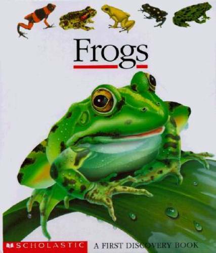 Frogs (First Discovery Books) - Spiral-bound By Scholastic Books - VERY ...
