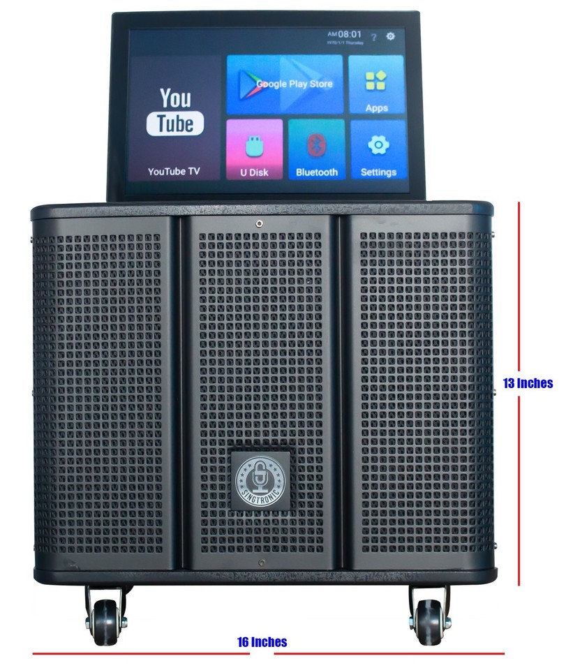 All-in-One BT-369Pro 1000W Karaoke System Touch Screen & Unlimited ...