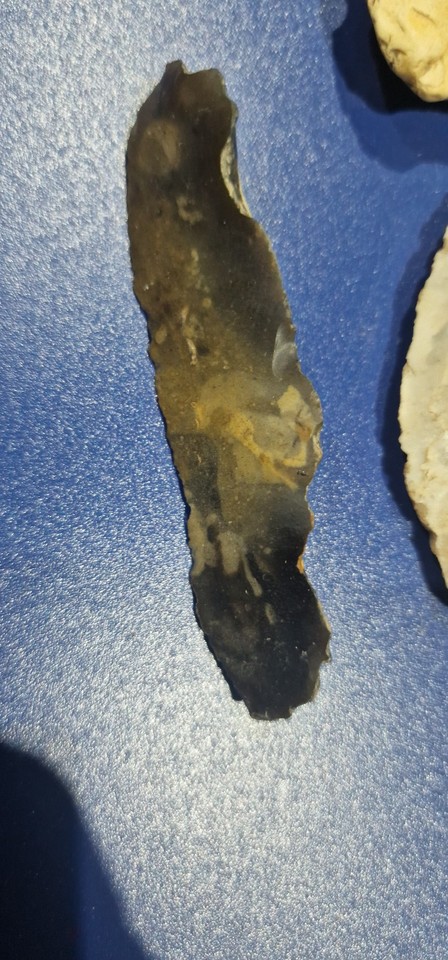 Flint Tools And Flakes Mesolithic Neolithic Bronze Age and a roman nail ...