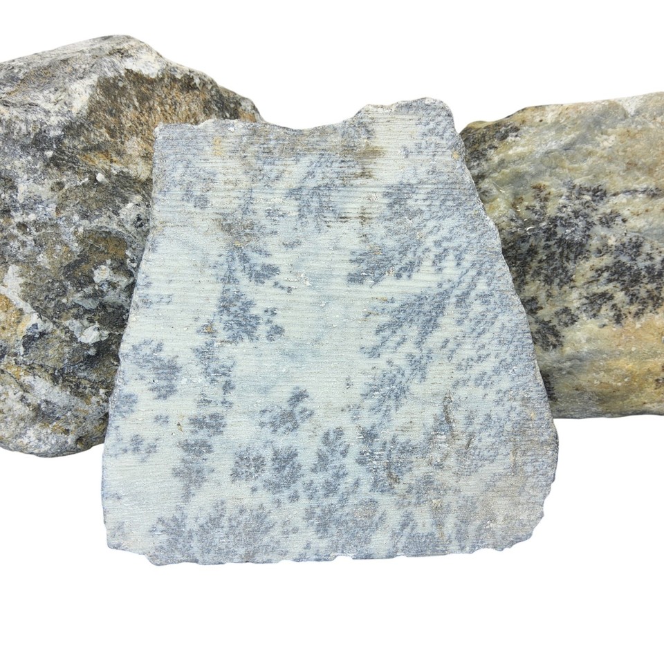 Steatite, dendritic, soapstone, 5.5+ lbs, cabbing rough, lapidary, #R ...