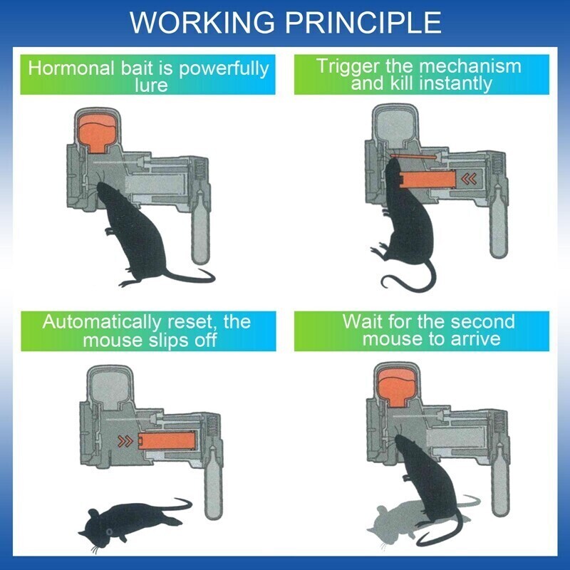 Smart Automatic Humane Non-Toxic Rat and Mouse Trap Kit Rat Mouse multi ...