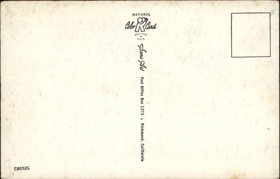 Greetings From Rodeo Red Lodge Montana rodeo cowboy horse bronc ...