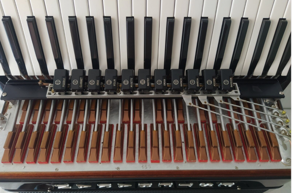 Accordion Brandoni 120 Bass 4+5 Piccolo 11 Register Professional ...