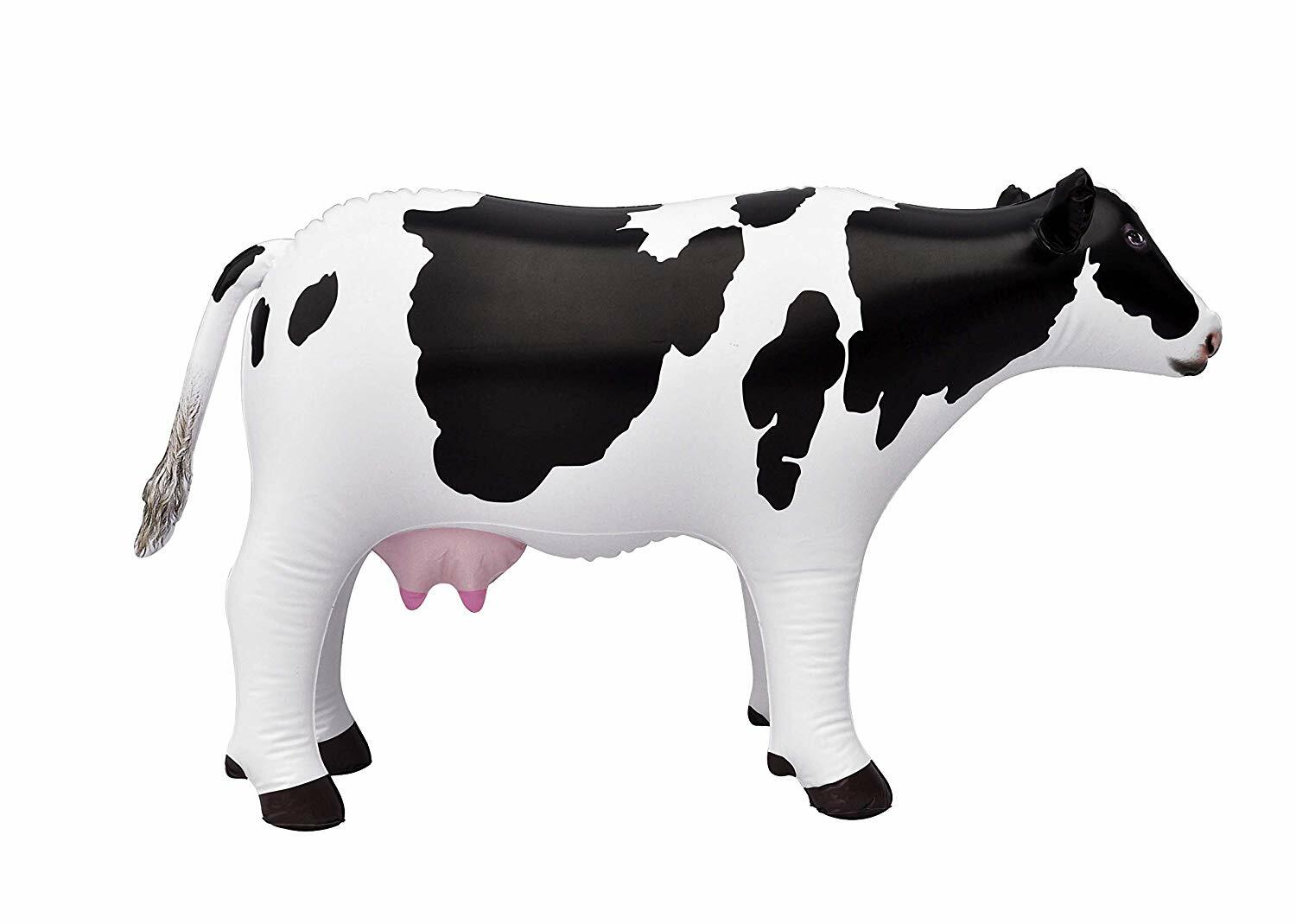 Jet Creations Cow Inflatable Animal Baby 37 inch Long Great for Pool ...
