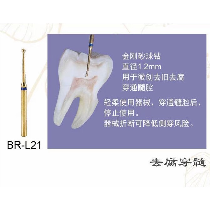 1Set Dental burs preparation Pulpotomy access Open pulp cavity Bur kit ...