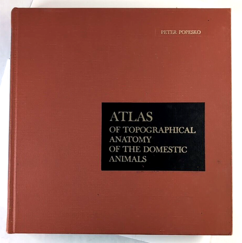 Atlas of Topographical Anatomy of the Domestic Animals by Peter Popesko ...