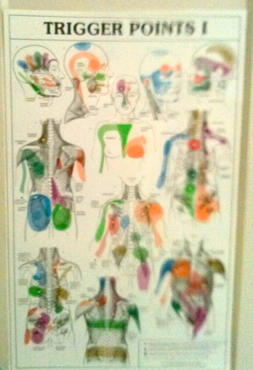 Reflexology Head Torso Guide Trigger Points Head & Torso Guide ...