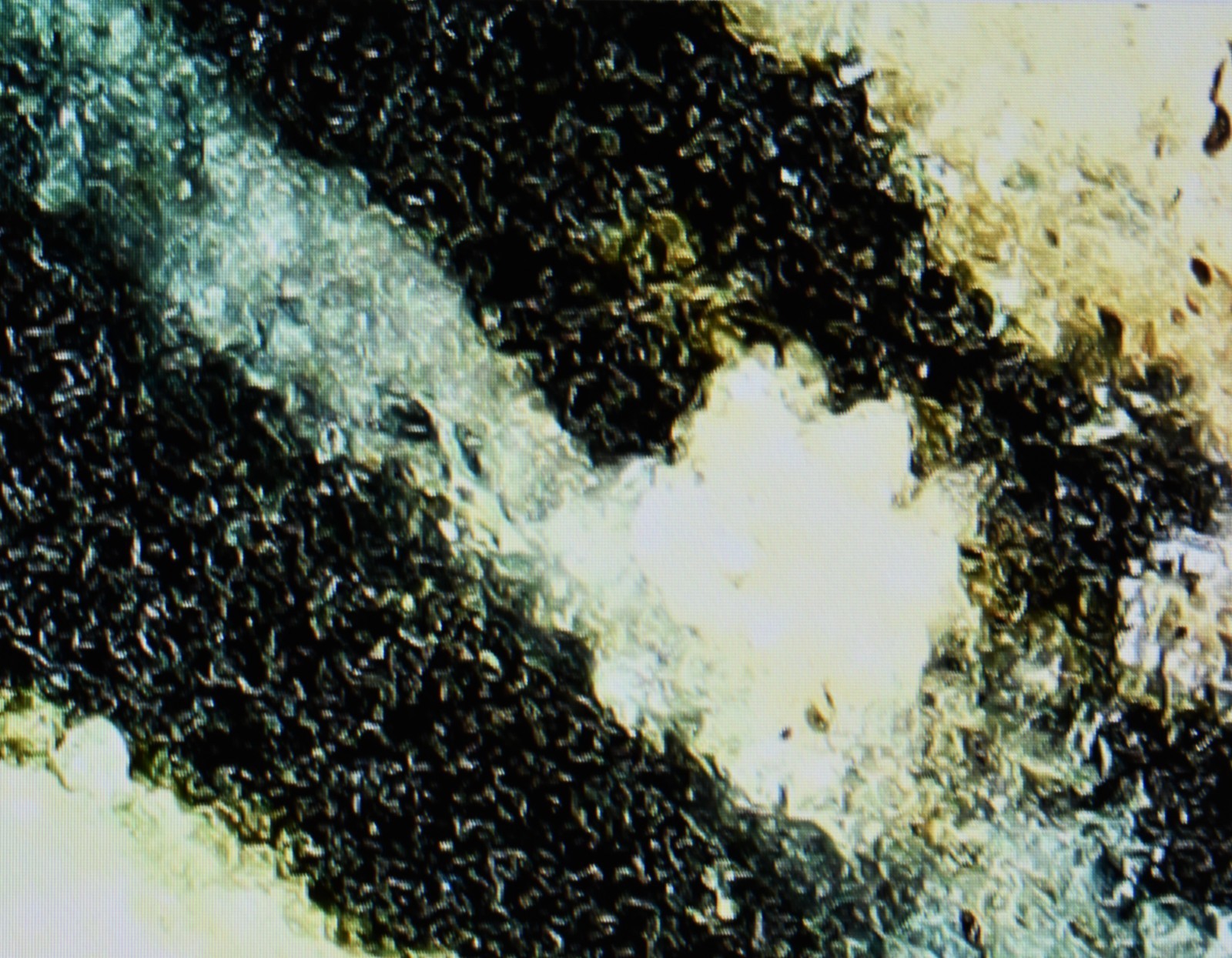 Hand Carved Gold Dominant Tower 1800s Ore Knob Copper Mine Appalachian ...