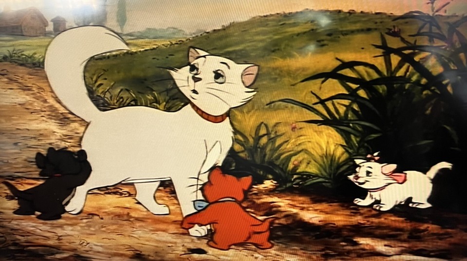 WALT DISNEY The Aristocats Rare DVD ISRAEL Hebrew Speaking & Hebrew ...