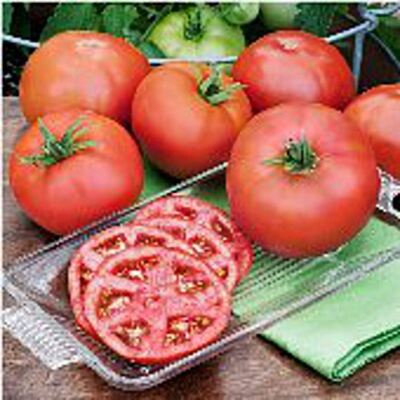 Unbrandred Heatmaster Tomato Seeds (25+ Seeds)(More Heirloom, Organic ...