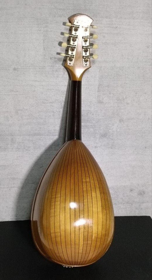 Mandolin No.203 1965 stringed instrument with hard case Nagoya Japan ...