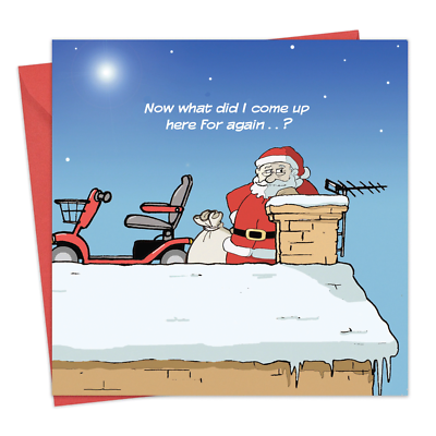 Funny Happy Holidays Card