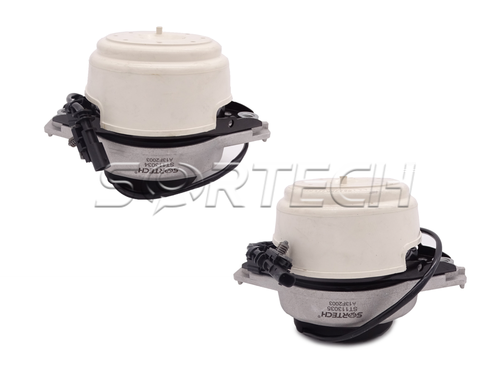 Left & Right Engine Mount for Mercedes 1662406817 1662406917 W166 GL350 ...