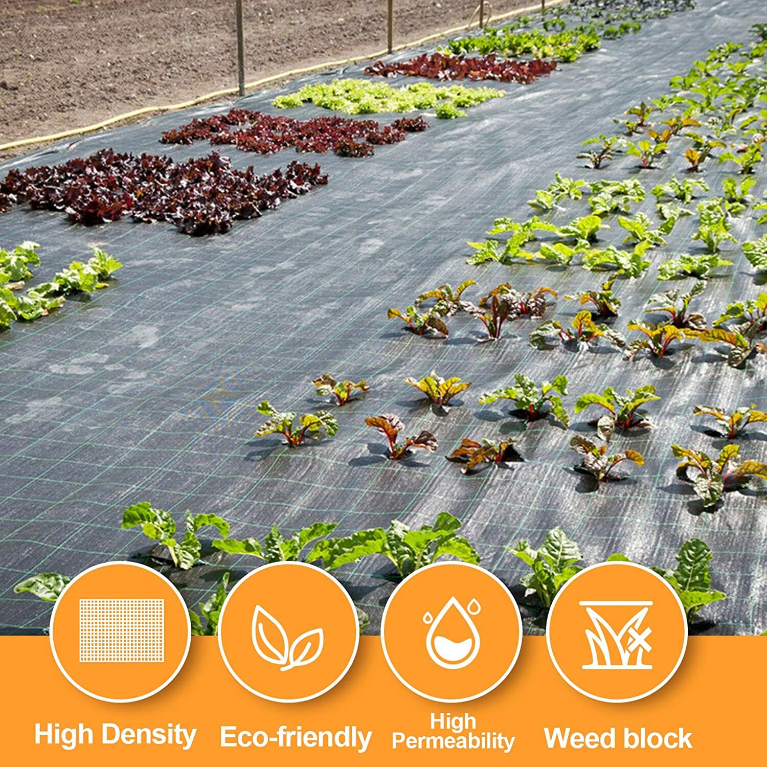 Agfabric 4'x12' Easy-Plant Weed Barrier for Garden ,with Planting Hole ...