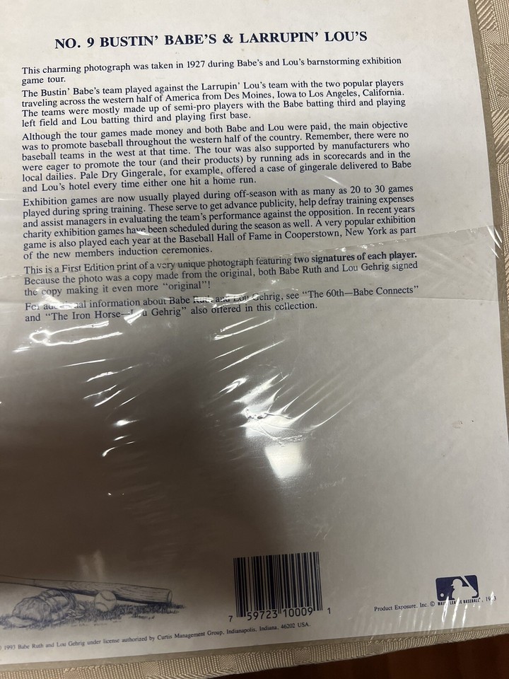1993 MLB~First Edition Print~No.9 Bustin Babes & Larrupin Lous~11" x 14 ...