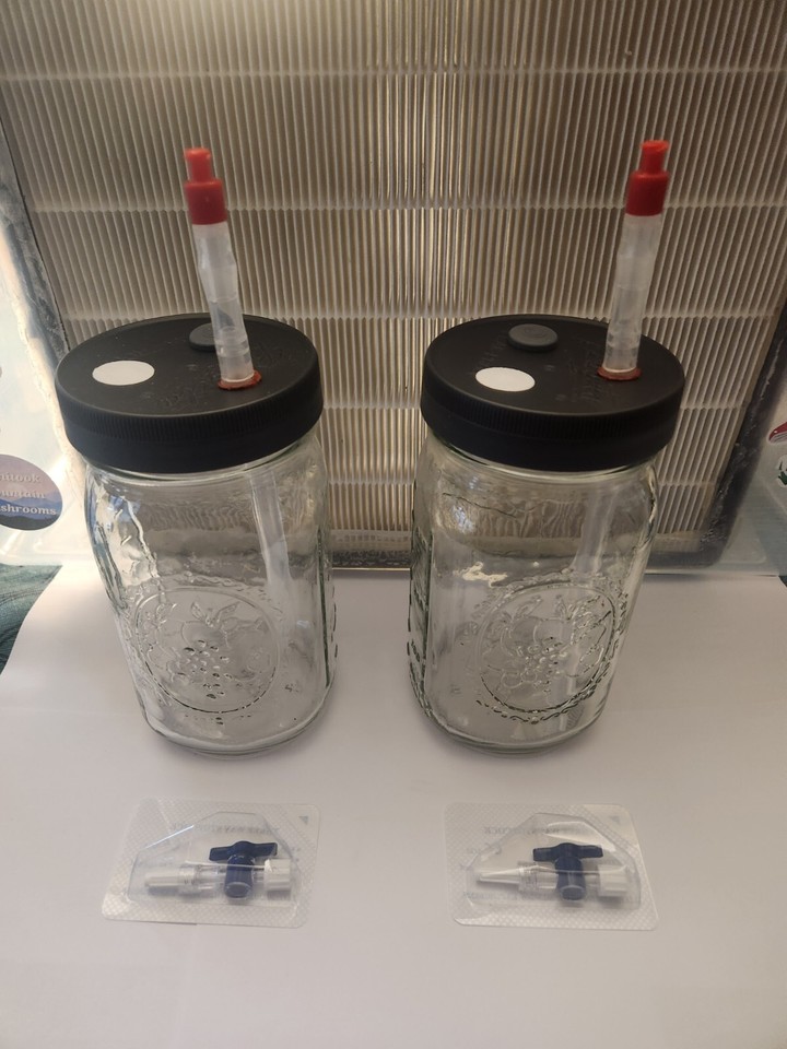 2 Mushroom Liquid Culture Mycelium Modified Jar Lids (Wide Mouth) | eBay
